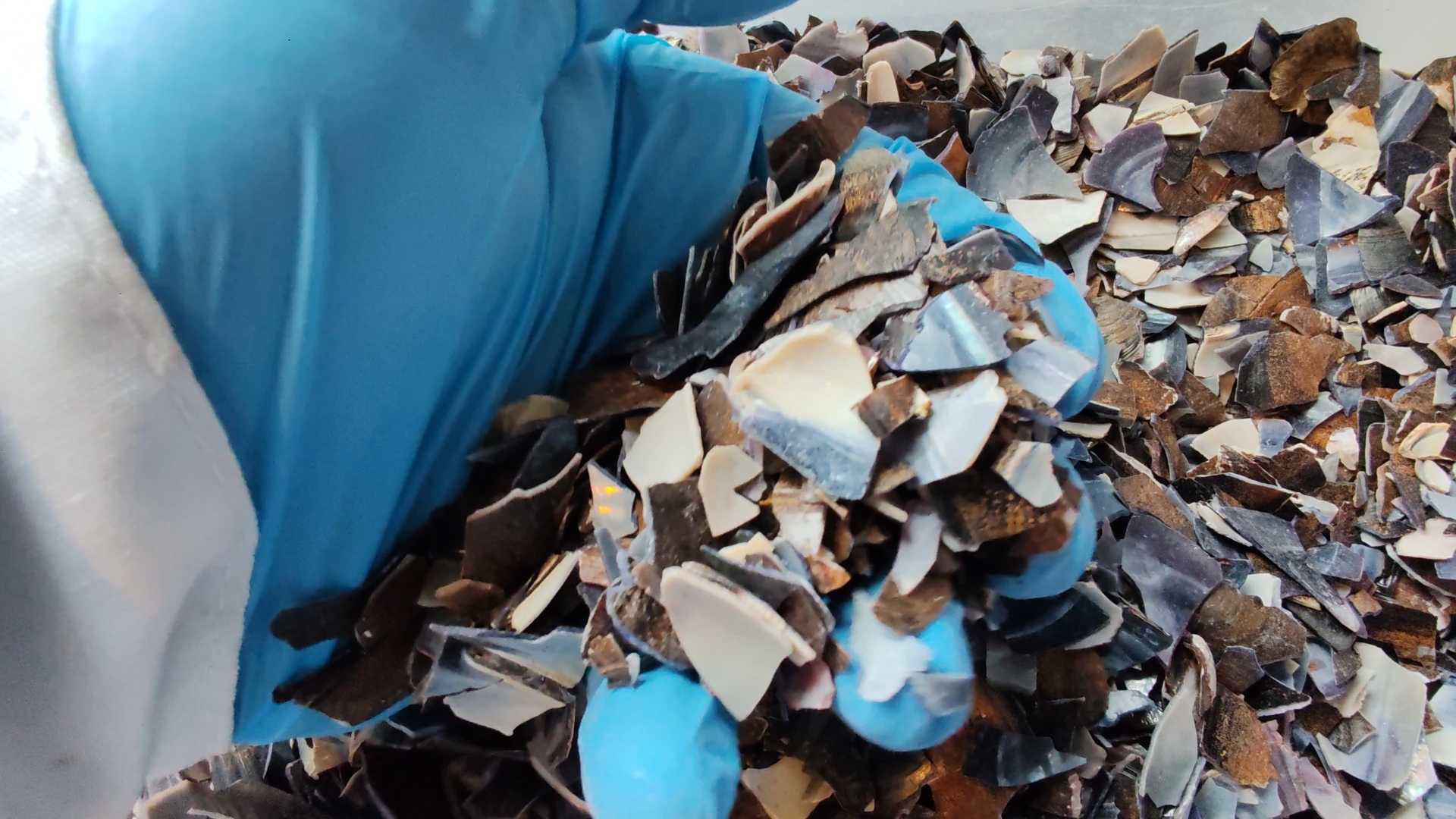 Circular R&D Projects | ReCircuLab - Marine Collagen and Circular AI
